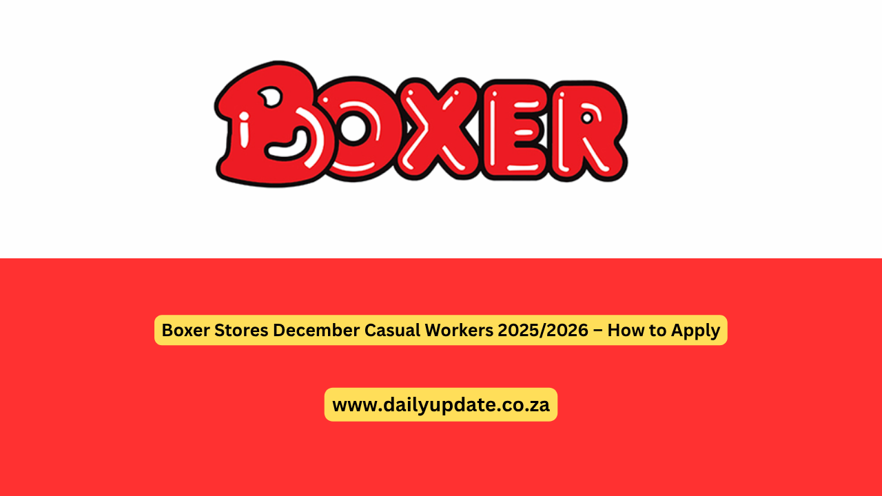 Boxer Stores December Casual Workers 2025/2026 – How to Apply - daily ...